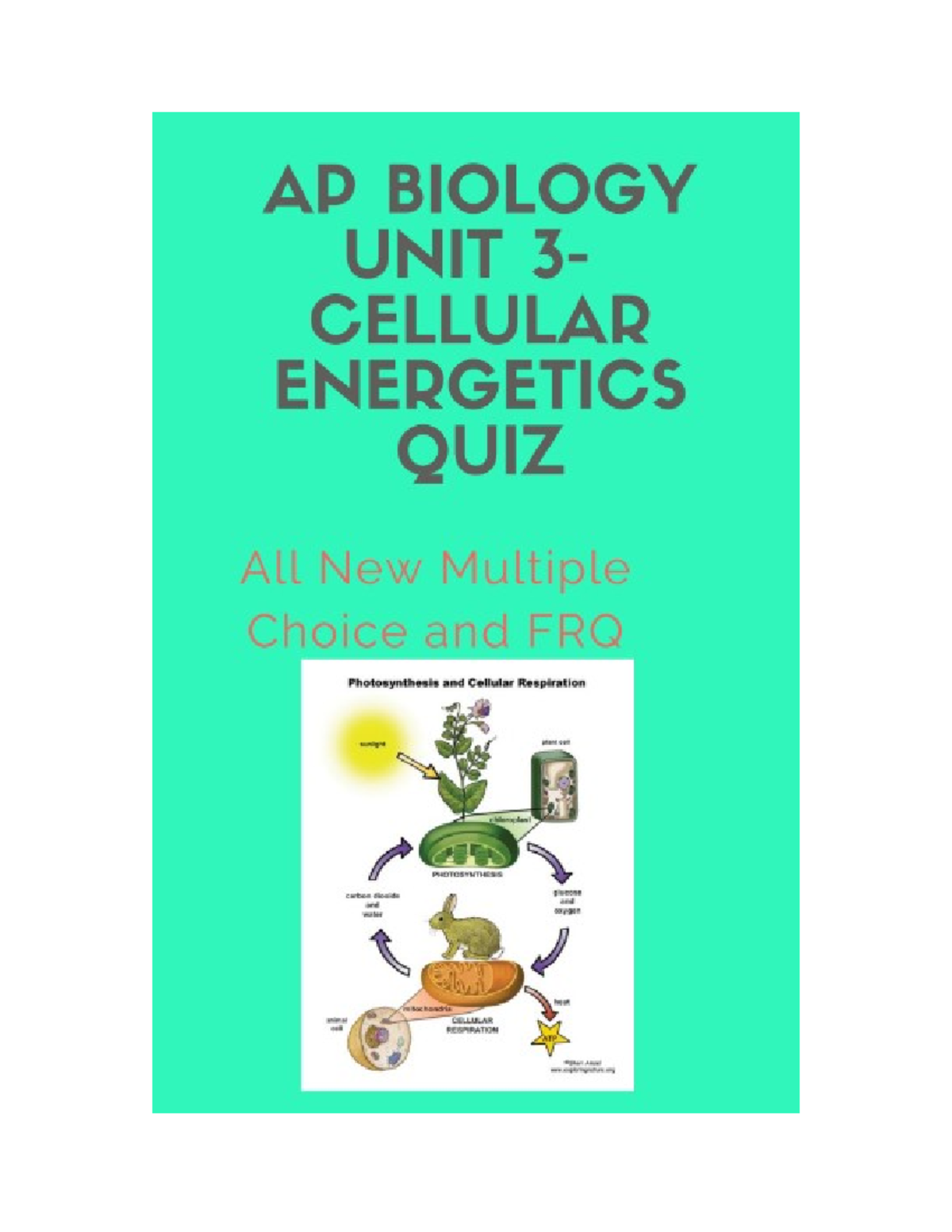 03 - AP Biology Unit 3: Cellular Energetics Review Quiz - Studocu