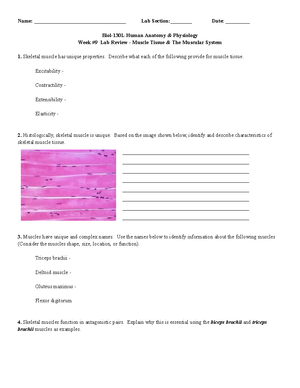 Anatomy Unit II Study Guide: Integumentary & Skeletal Systems Overview ...