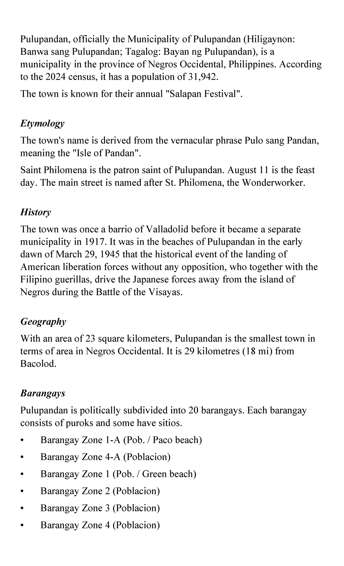 Pulupandan Municipality Overview: History, Geography & Culture - Studocu