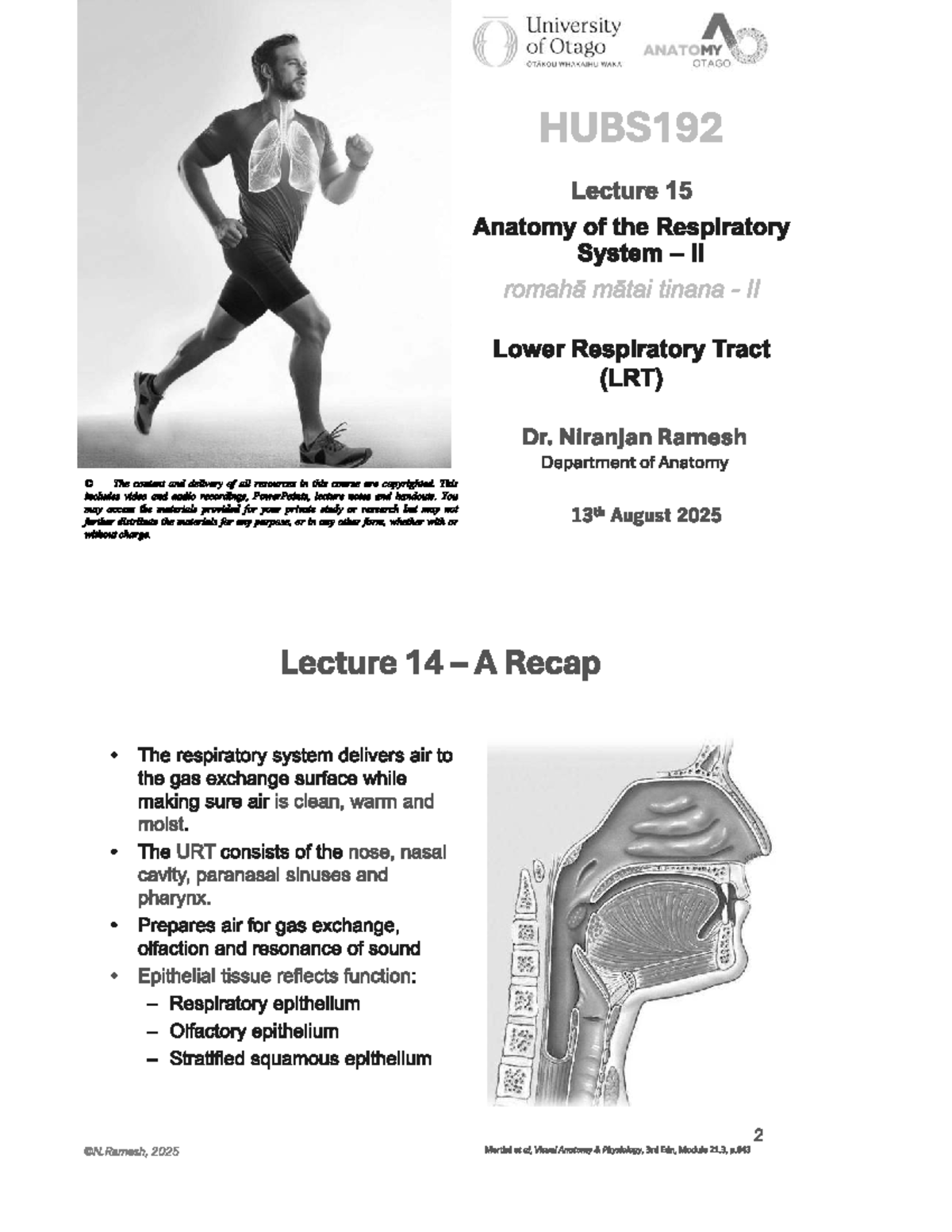 HUBS192 Lecture 15: Anatomy of the Lower Respiratory Tract II - Studocu