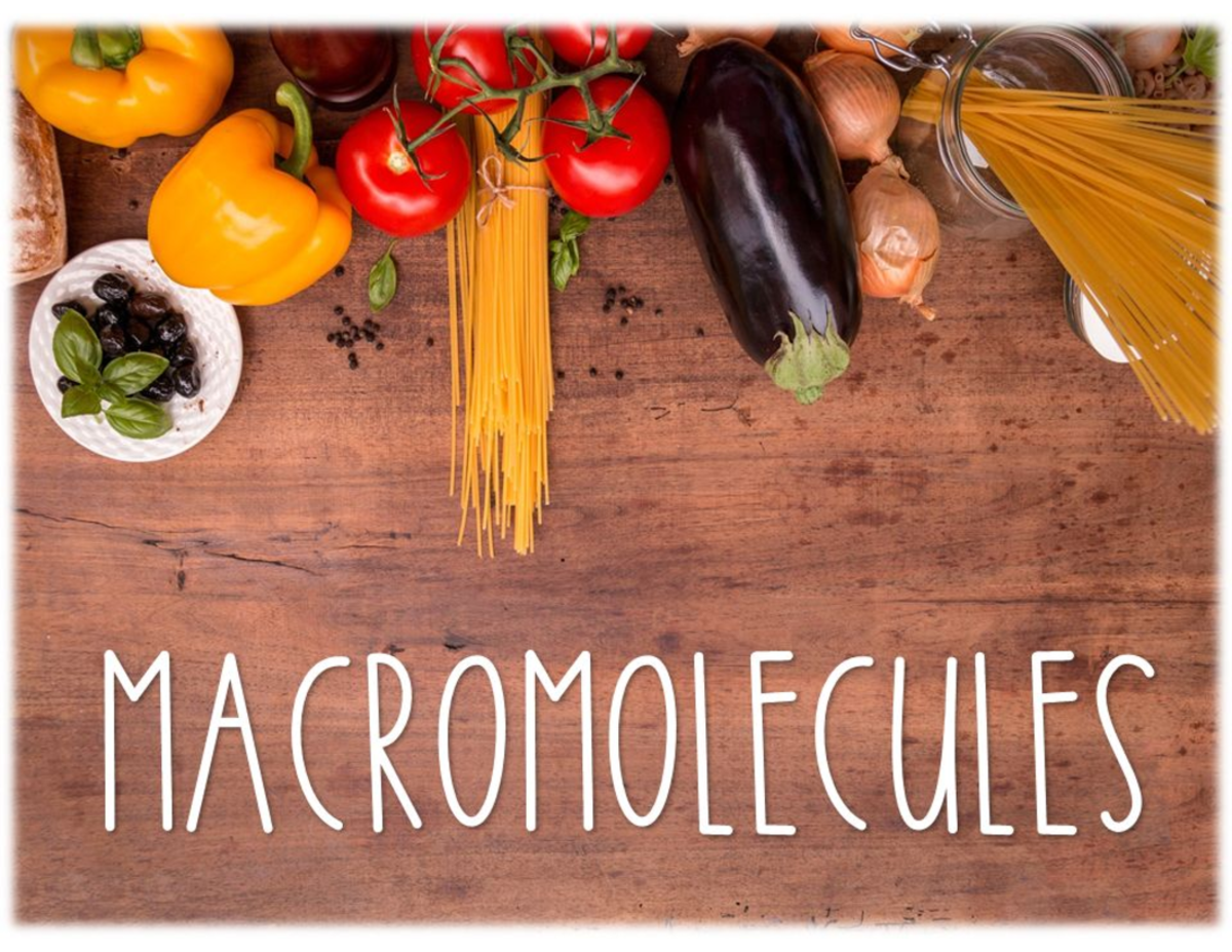 Macromolecules: Making and Breaking - Lesson Overview and Notes ...