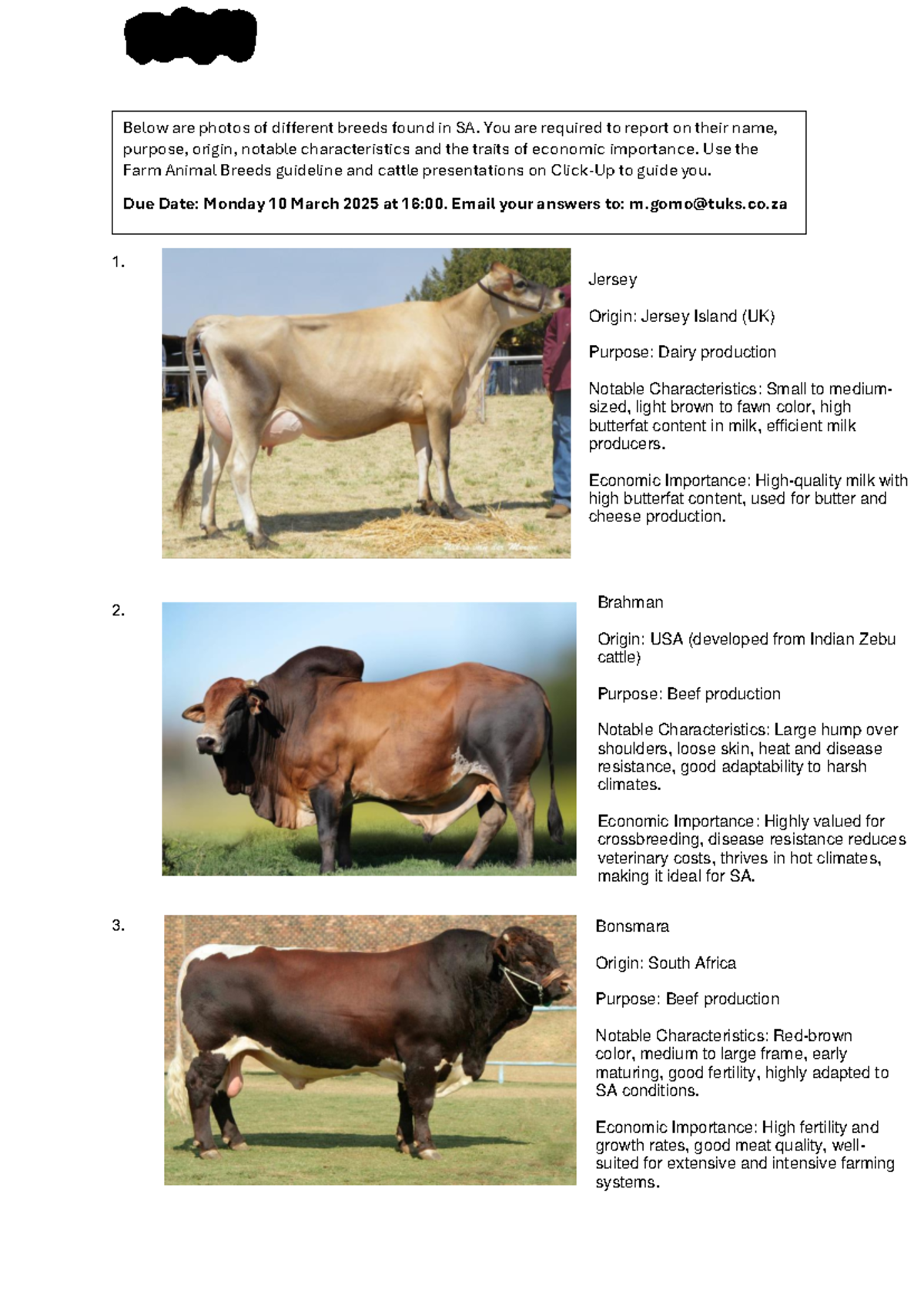 Cattle Breeds Quiz VKU250 answers - VKU 250 - 1. 2. 3. Below are photos ...