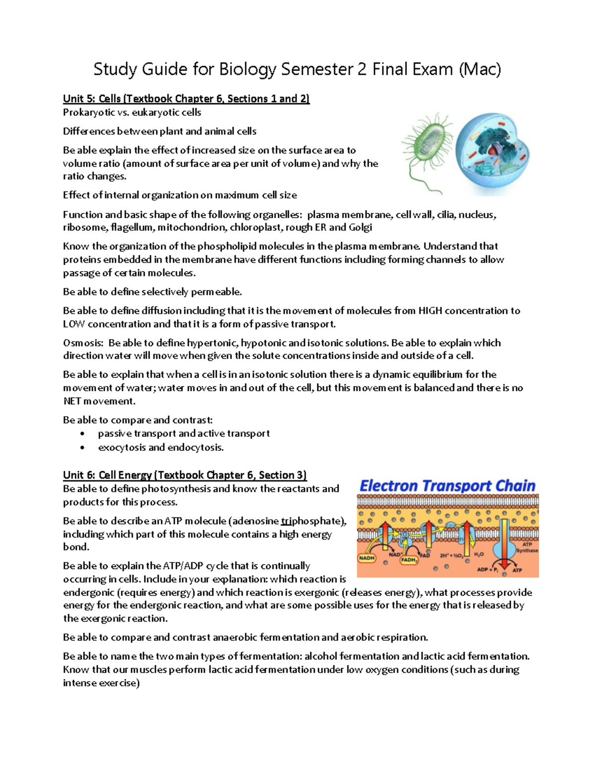 Biology 2nd Sem Final Exam Study Guide: Cells, Energy, Division ...