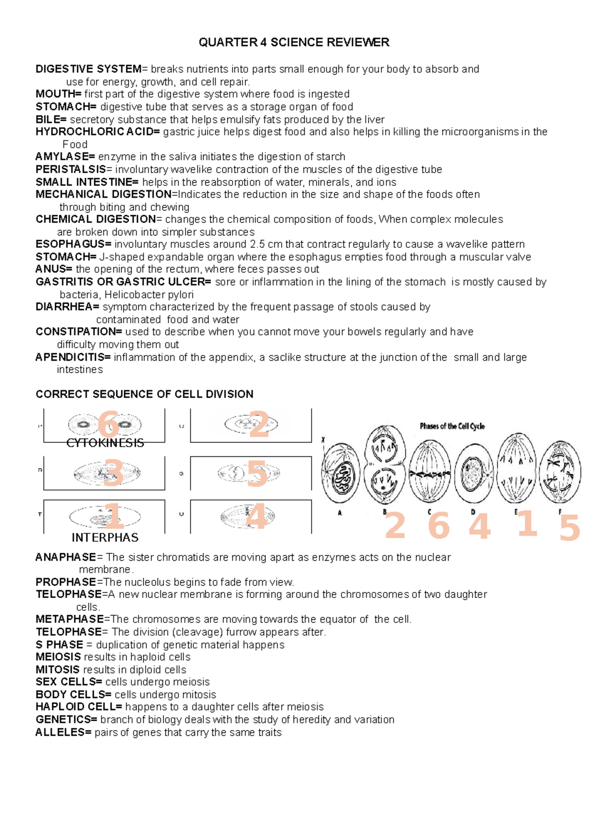 Q4 Science 8 Digestive System & Cell Division Review - Studocu