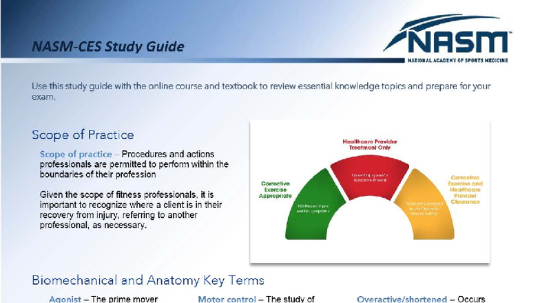 NASM CES Study Guide: Essential Knowledge for Exam Prep - Studocu