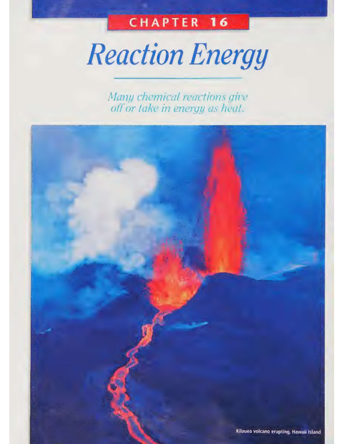 Holt Modern Chemistry: Chapter 16 - Reaction Energy Study Guide ...