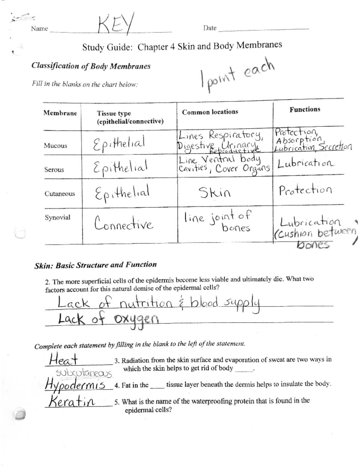 Ch 4 Study Guide: Skin & Body Membranes Classification Key - Studocu