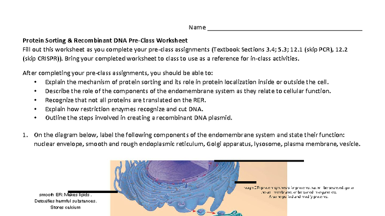 Week 8a Pre-Class Reading Guide - Protein Sorting & Recombinant DNA ...