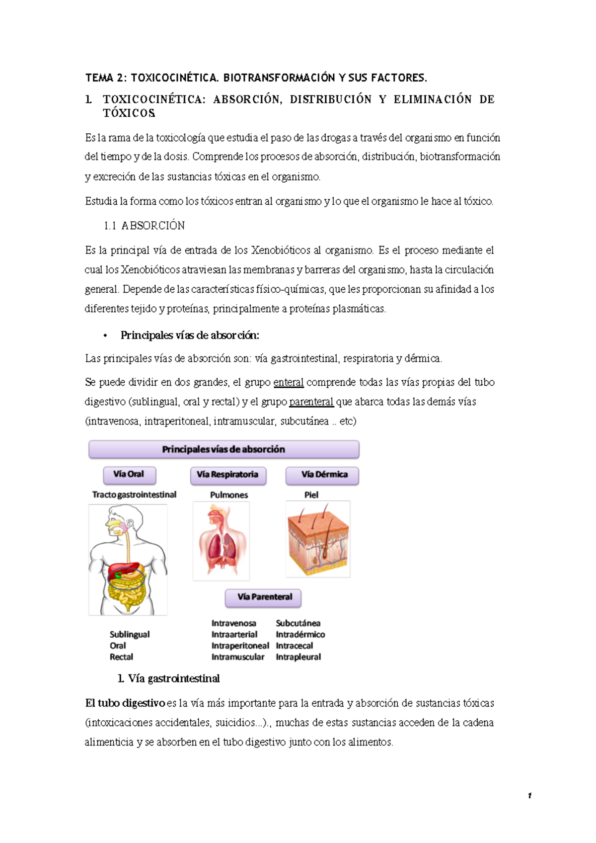 Tema 2 - TOXICOCINÉTICA: Biotransformación y Factores Influyentes - Studocu