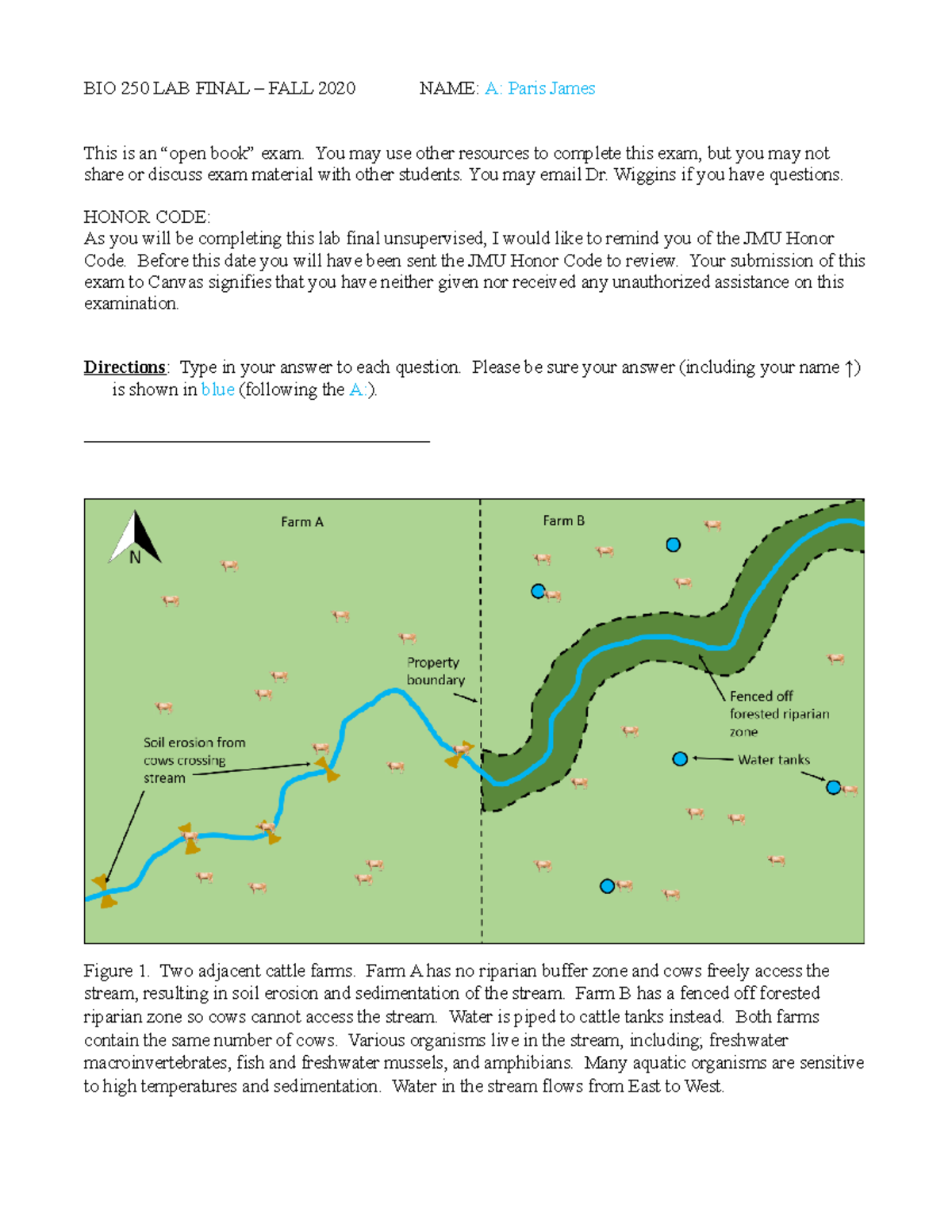 BIO 250 LAB Final Exam Analysis – Fall 2020 Insights on Stream Ecology ...
