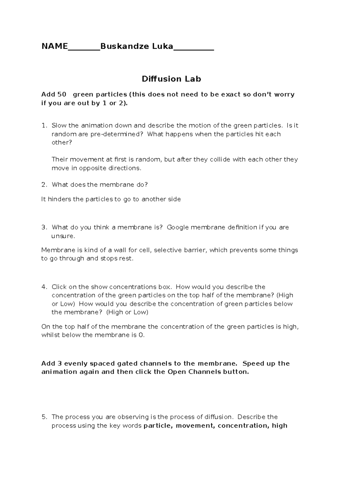 Diffusion Lab Simulation Results - Analysis and Observations - Studocu