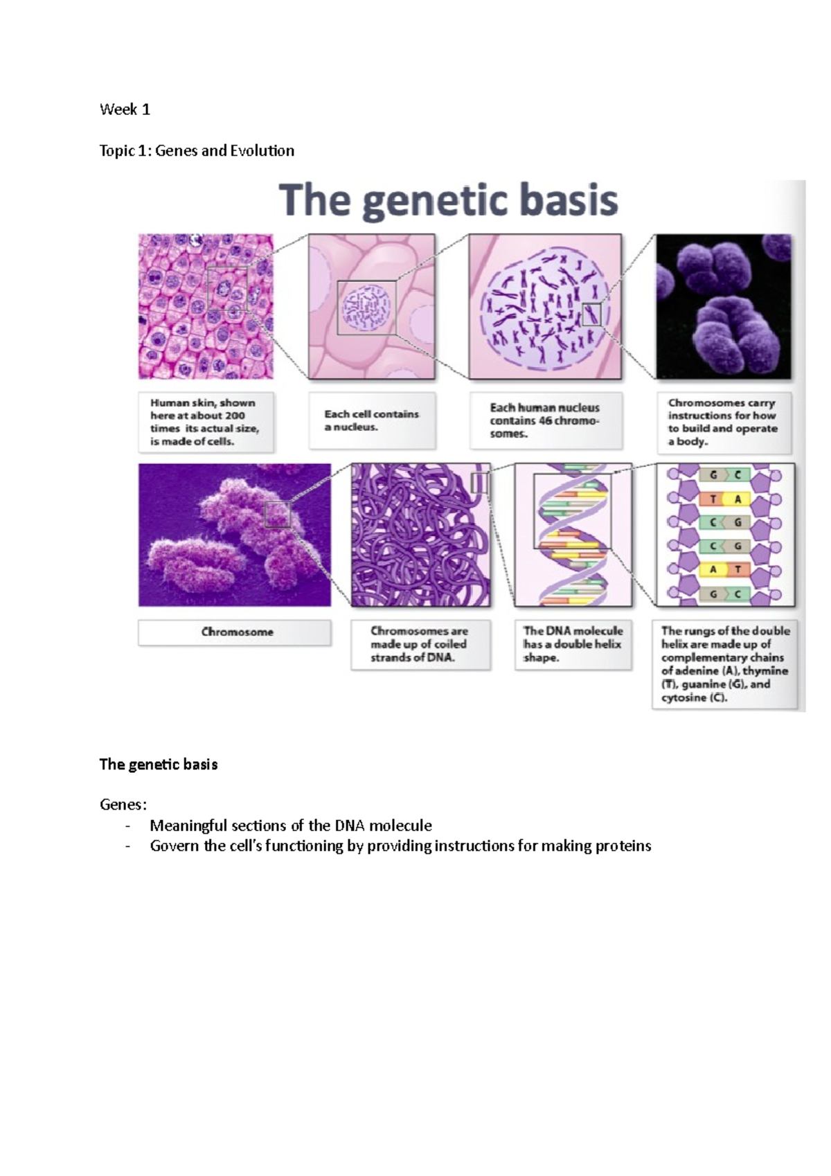 Week 1 lecture Genes and evolution - Introduction to Psychology and its ...