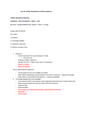 Lab Practical 1 Study Guide - BIOLOGY 101 PRACTICAL #1 REVIEW SHEET Lab ...