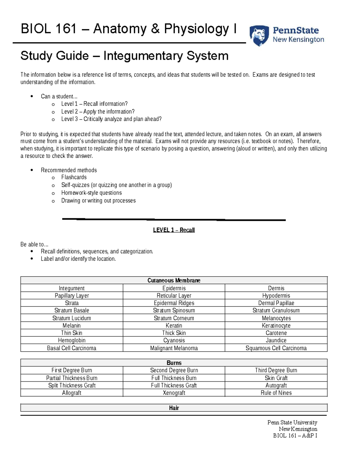 BIOL 161 – A&P I Study Guide: Integumentary System Exam Prep - Studocu