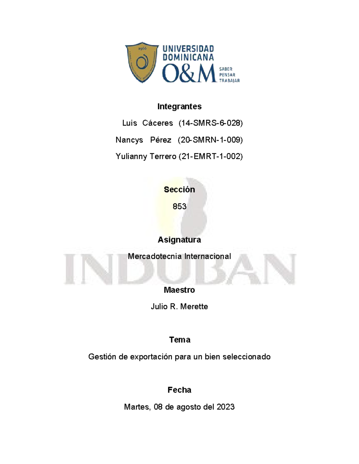 Gestión de Exportación de Induban: Análisis y Estrategias - MKT-853 ...