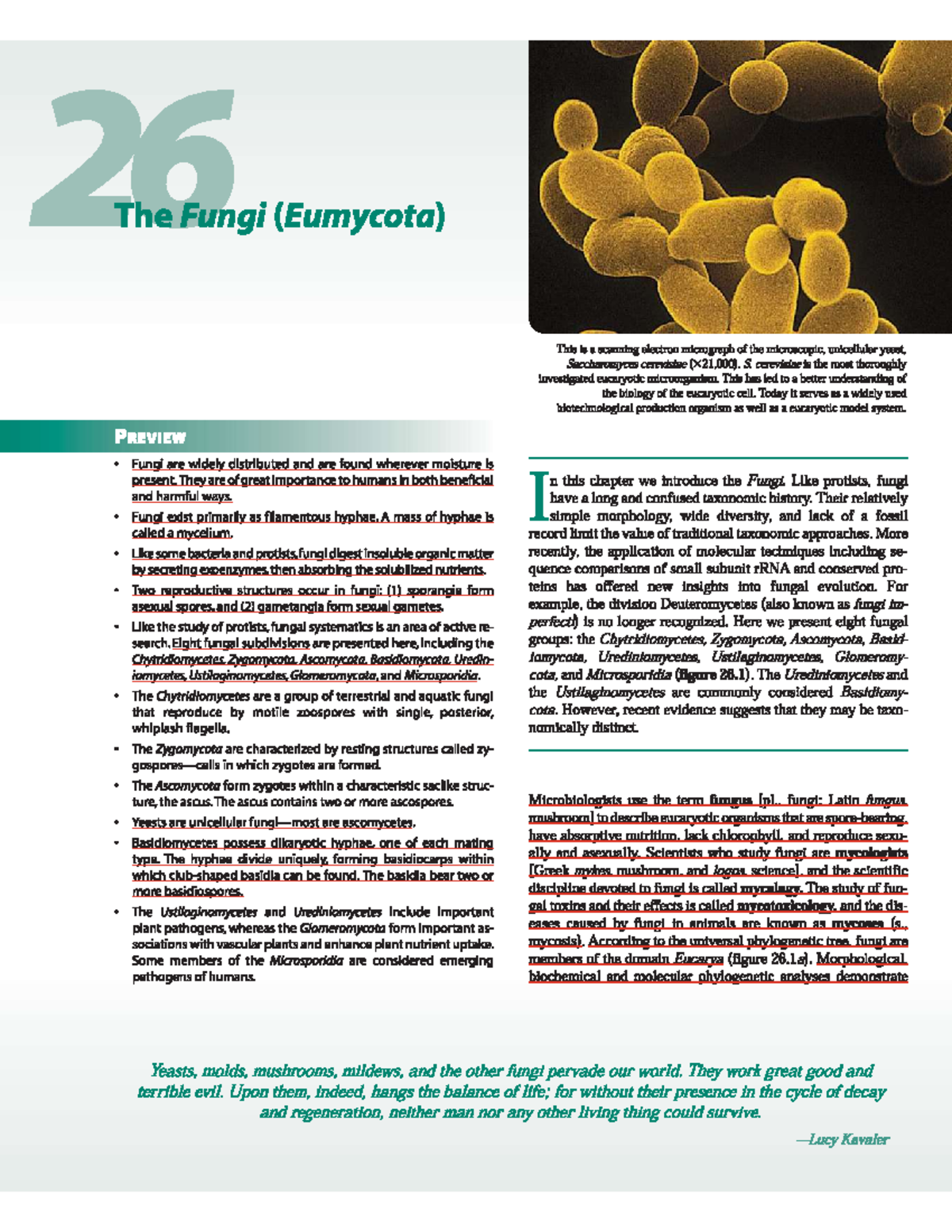 Lecture 17-Fungi revised - 26 The Fungi (Eumycota) This is a scanning ...
