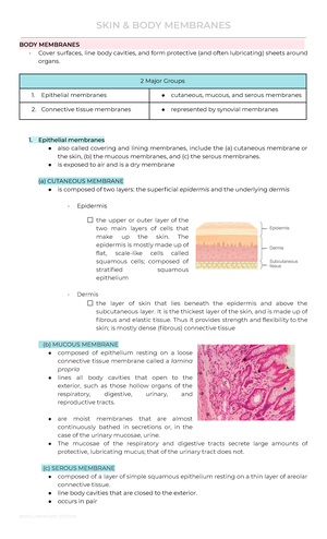 [Solved] Compare and Contrast Lipid and Carbohydrate Metabolism ...