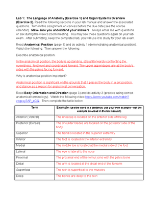 The Nervous System - questions with answers and pictures - n Chapter 7 ...
