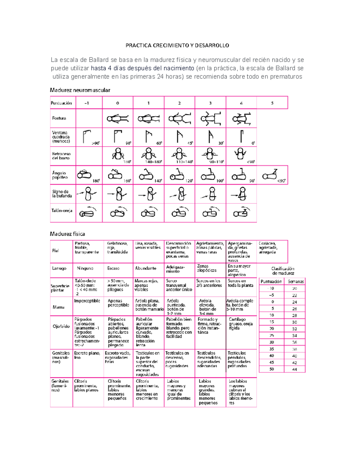 Práctica de Crecimiento y Desarrollo: Evaluación de la Escala Ballard ...