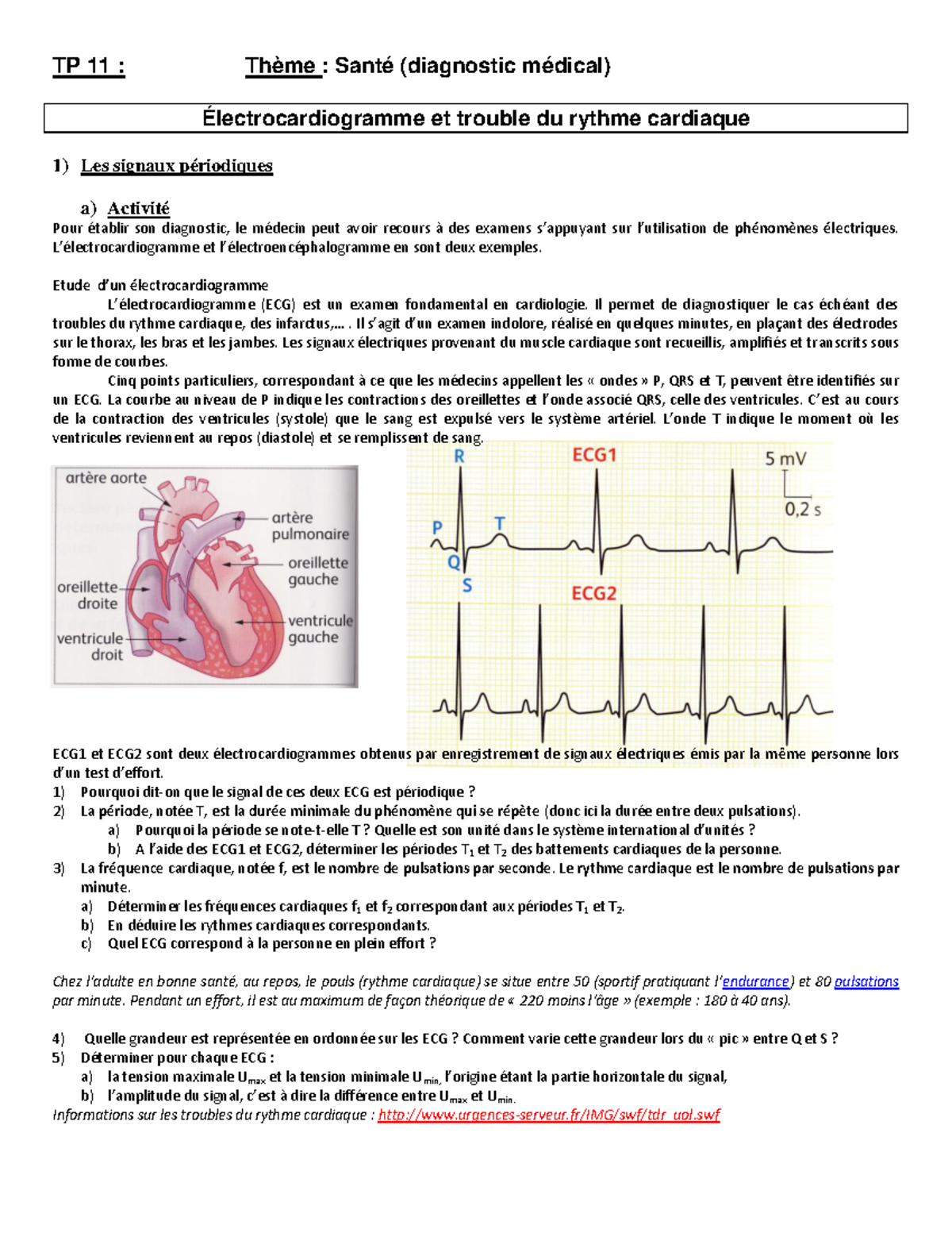 TP 11 : Électrocardiogramme et Troubles du Rythme Cardiaque - Studocu