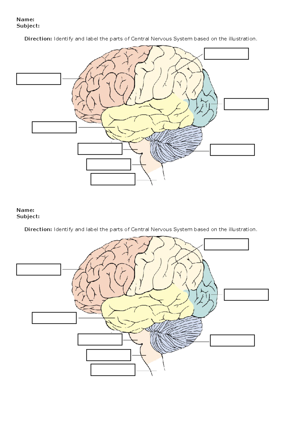 Activity CNS - Ready made material for CNS - Biology - Name: Subject ...