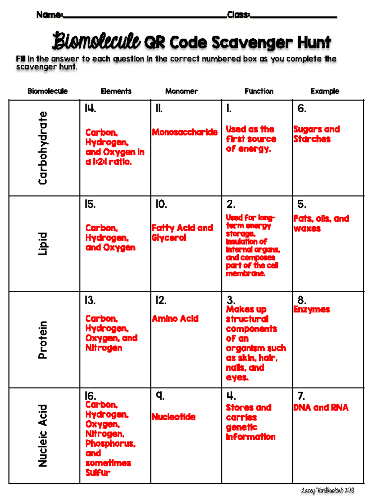 Biomolecule QR Code Scavenger Hunt Answer Key - BIOL101 - Studocu