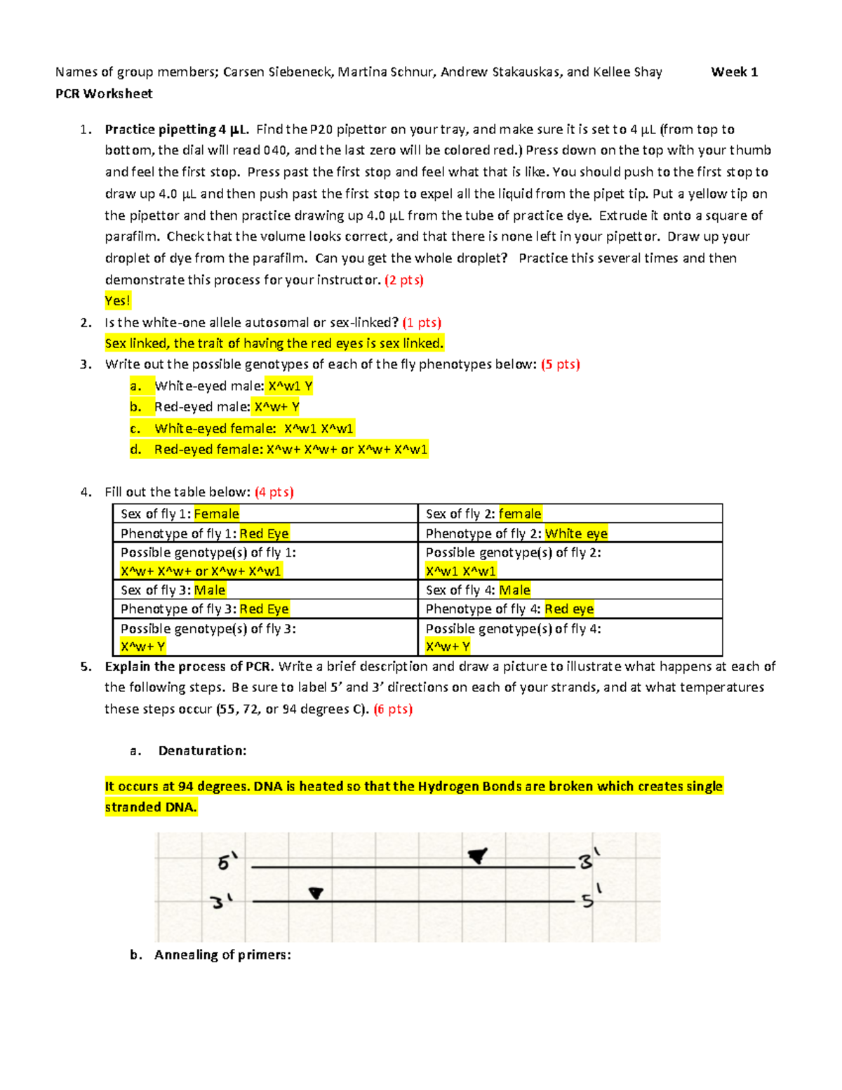PCR Week 1 Worksheet - 24SS - Names of group members; Carsen Siebeneck ...
