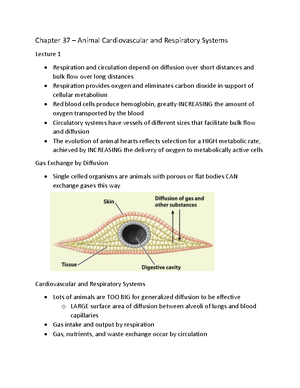 [Solved] describe the path of oxygen from inhaled air through the ...