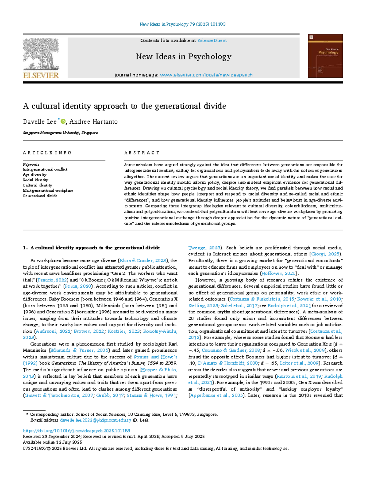 A Cultural Identity Perspective on the Generational Divide in ...