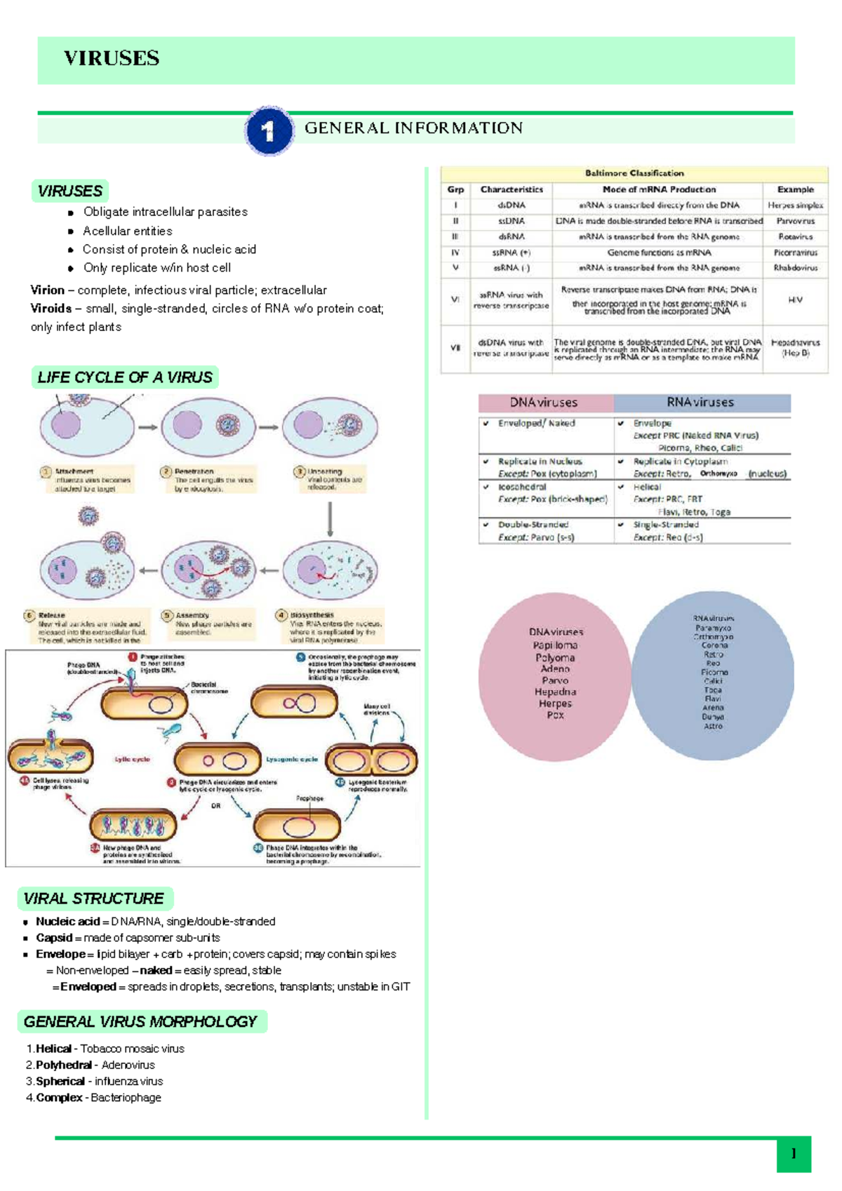 Microbiology Lec Module 6 - Viruses Overview and Key Concepts - Studocu
