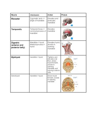 [Solved] Describe the building blocks of carbohydrates proteins lipids ...