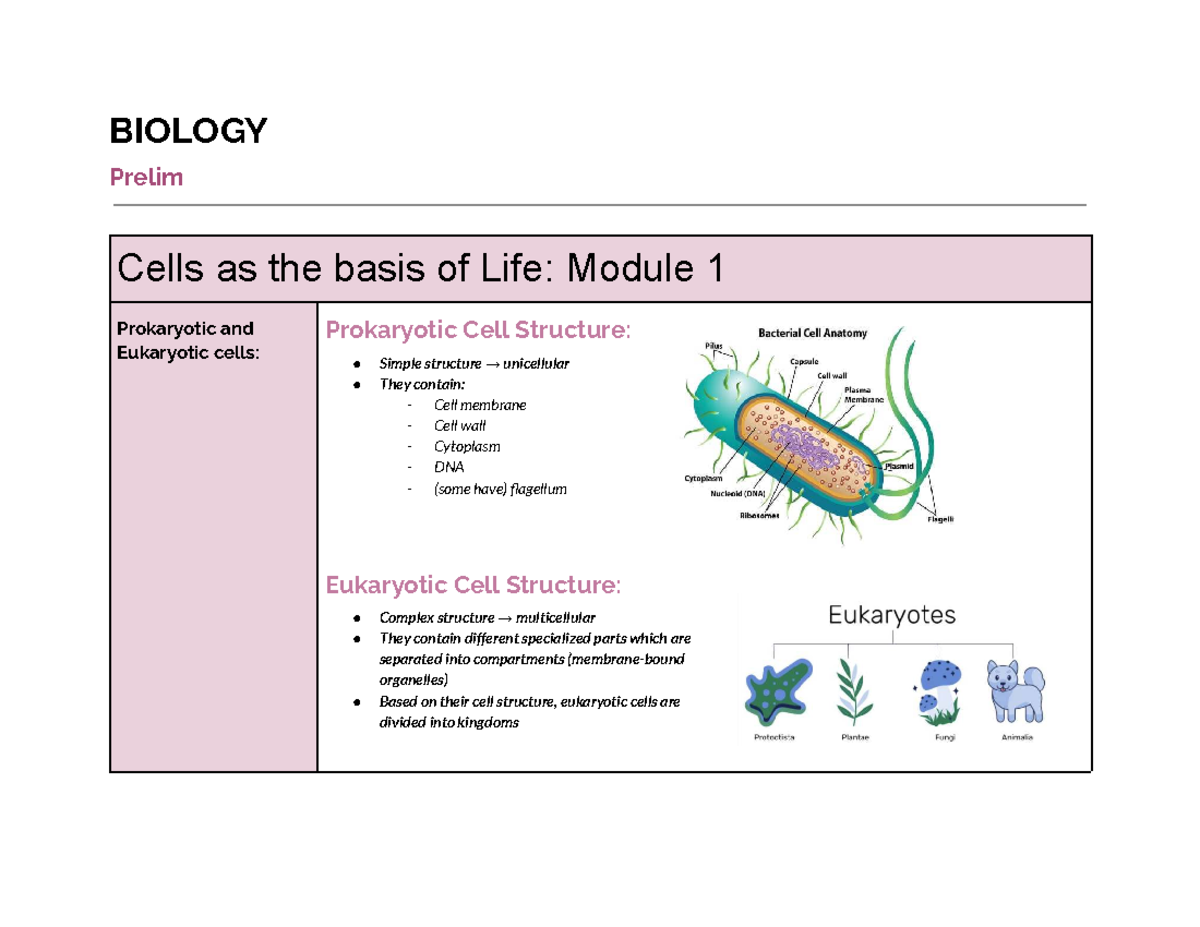 BIOLOGY Prelim: Cells as the Basis of Life - Prokaryotic & Eukaryotic ...