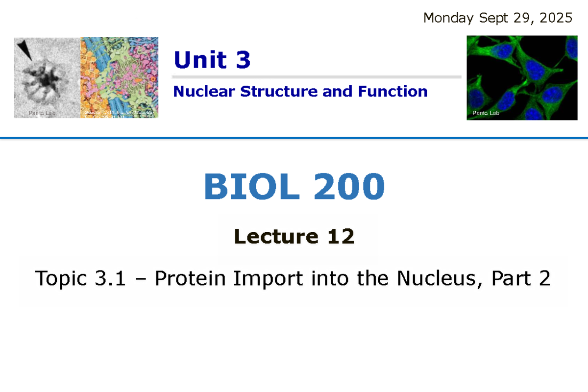 BIOL 200 - Unit 3: Nuclear Structure, Import, and Signal Experiments - Studocu
