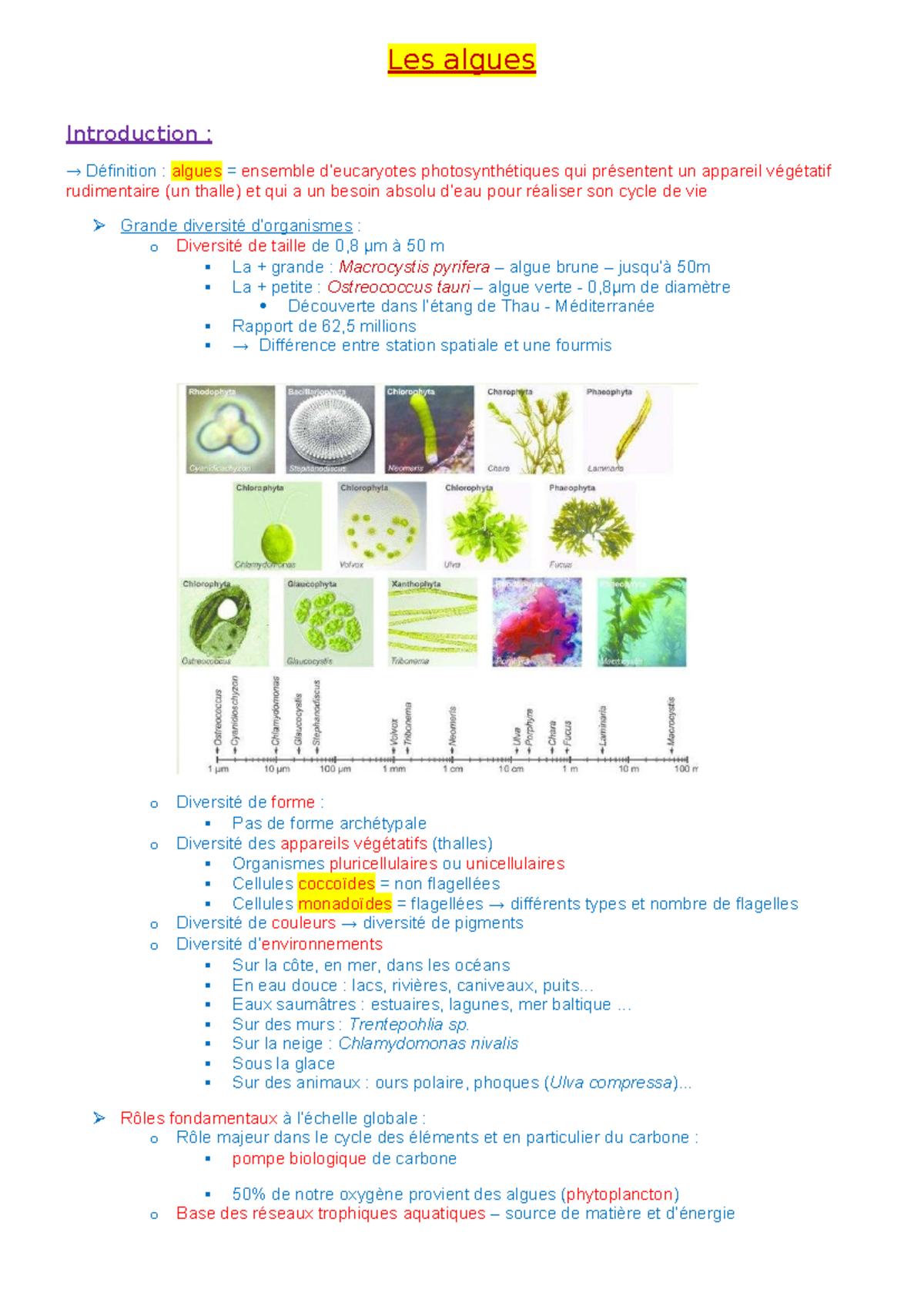 Biologie Végétale : Les Algues - Introduction et Classification - Studocu
