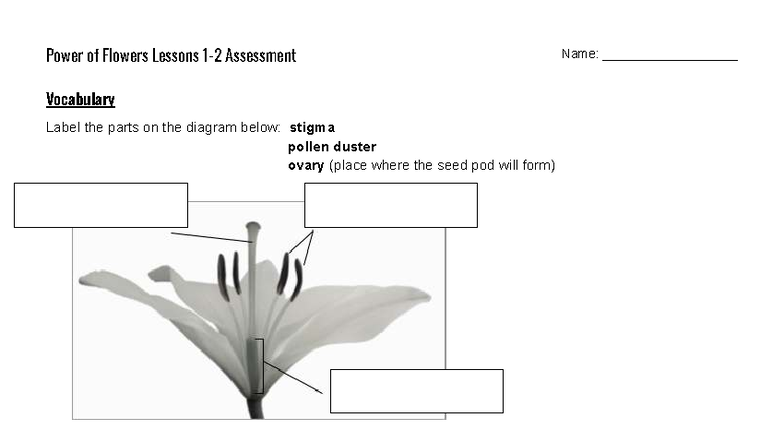 Power of Flowers - Lesson 1 Assessment (SCI 101) - Studocu