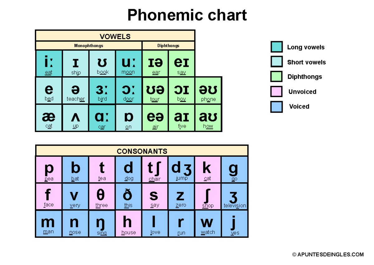 Phonemic Chart: Vowels & Consonants Overview for English - Studocu