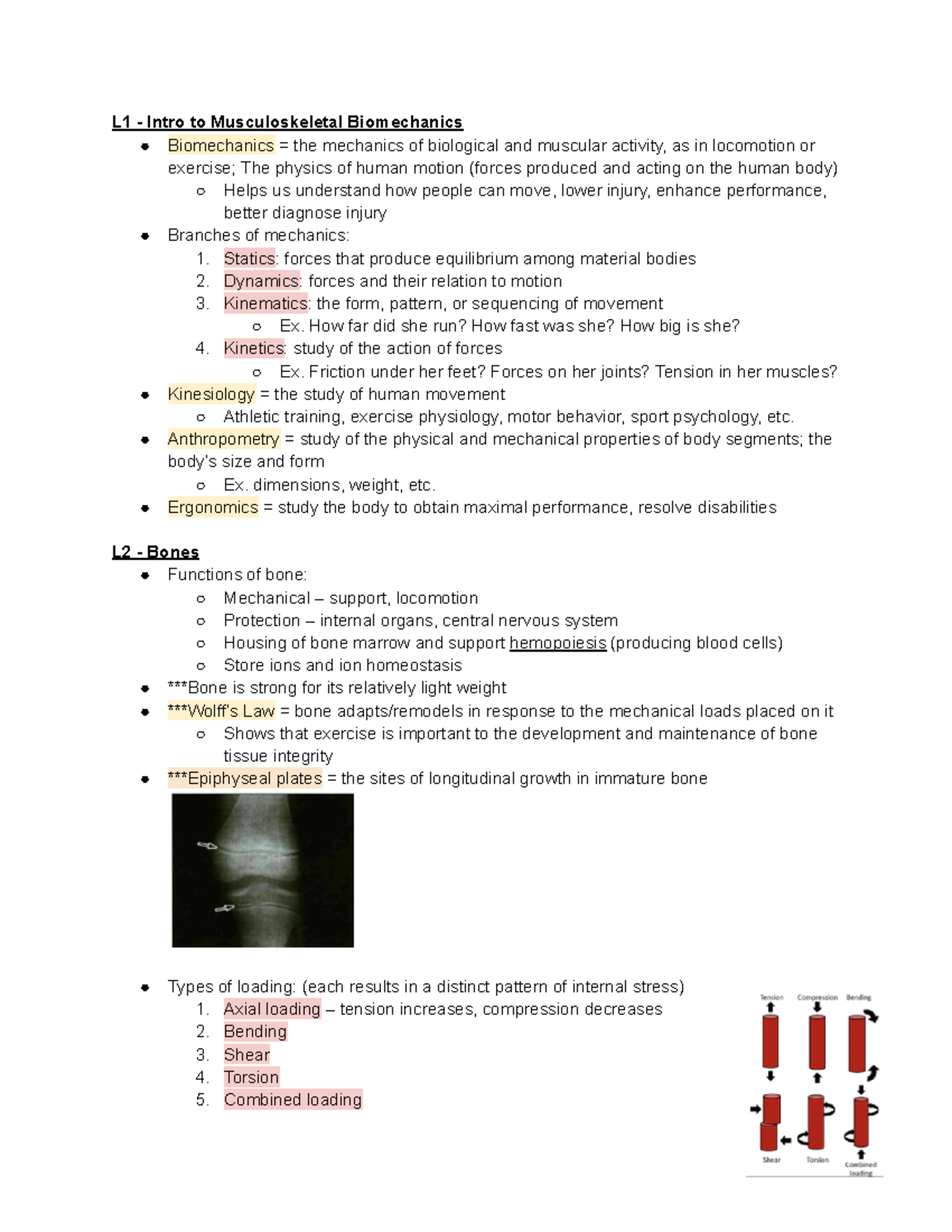 Biomechanics Exam 2 Notes - L1 - Intro to Musculoskeletal Biomechanics ...
