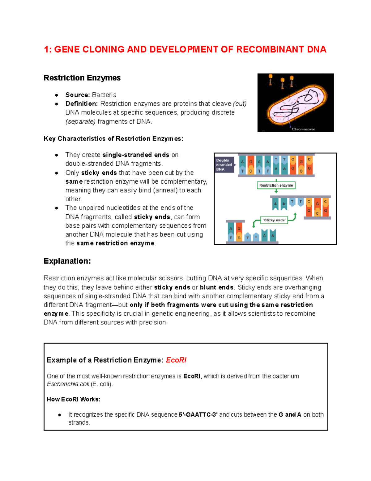 GENE CLONING & RECOMBINANT DNA: Restriction Enzymes Overview - Studocu