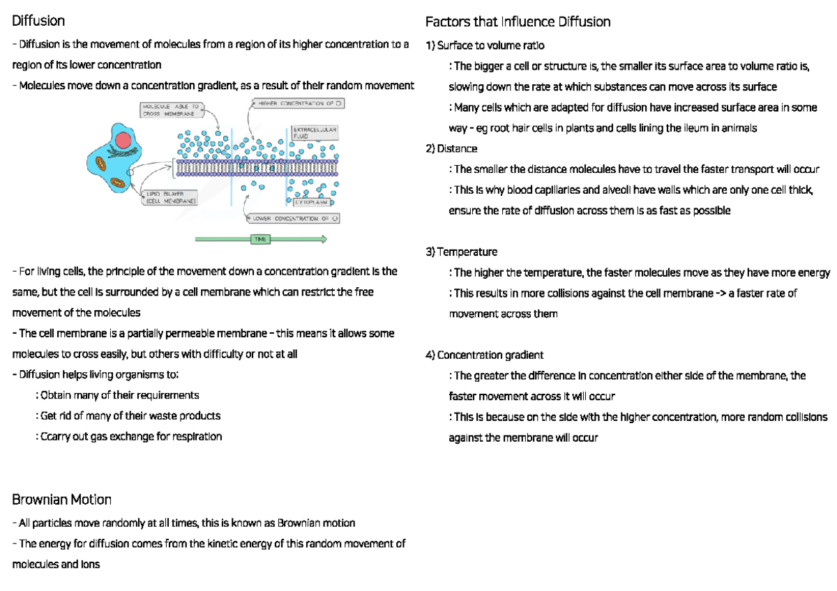 3 -Osmosis -Diffusion-and-Active-Transport - Biology - Studocu