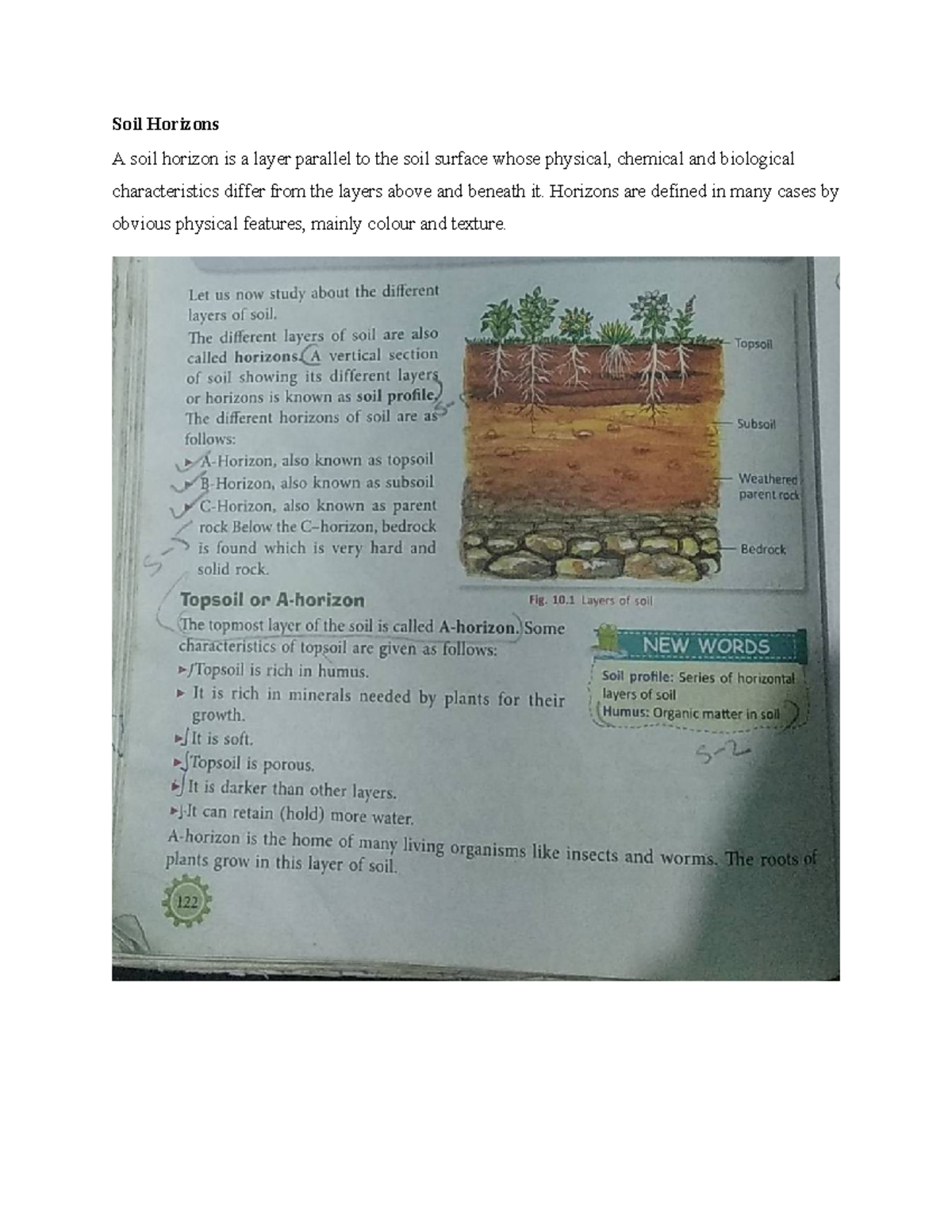 Soil Horizons and Physical Properties of Mineral Soils - Studocu