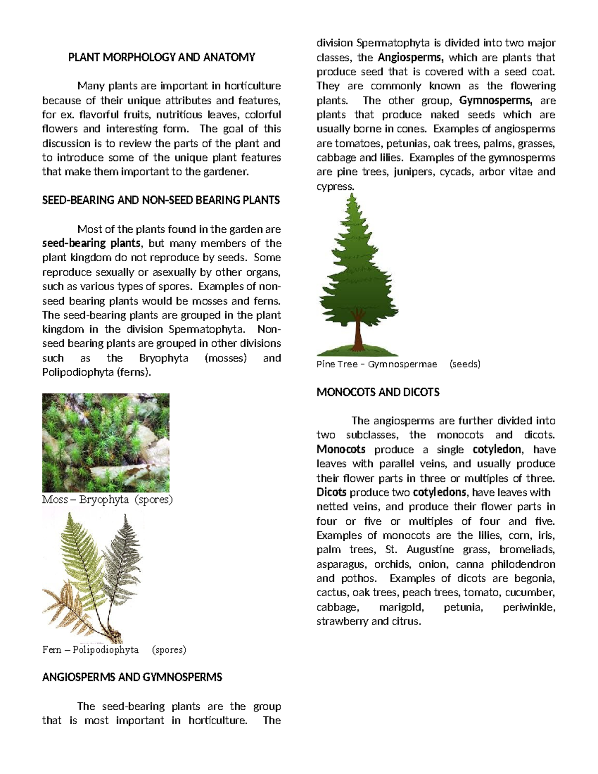 PLANT MORPHOLOGY AND ANATOMY: VEGETATIVE PARTS OVERVIEW - Studocu