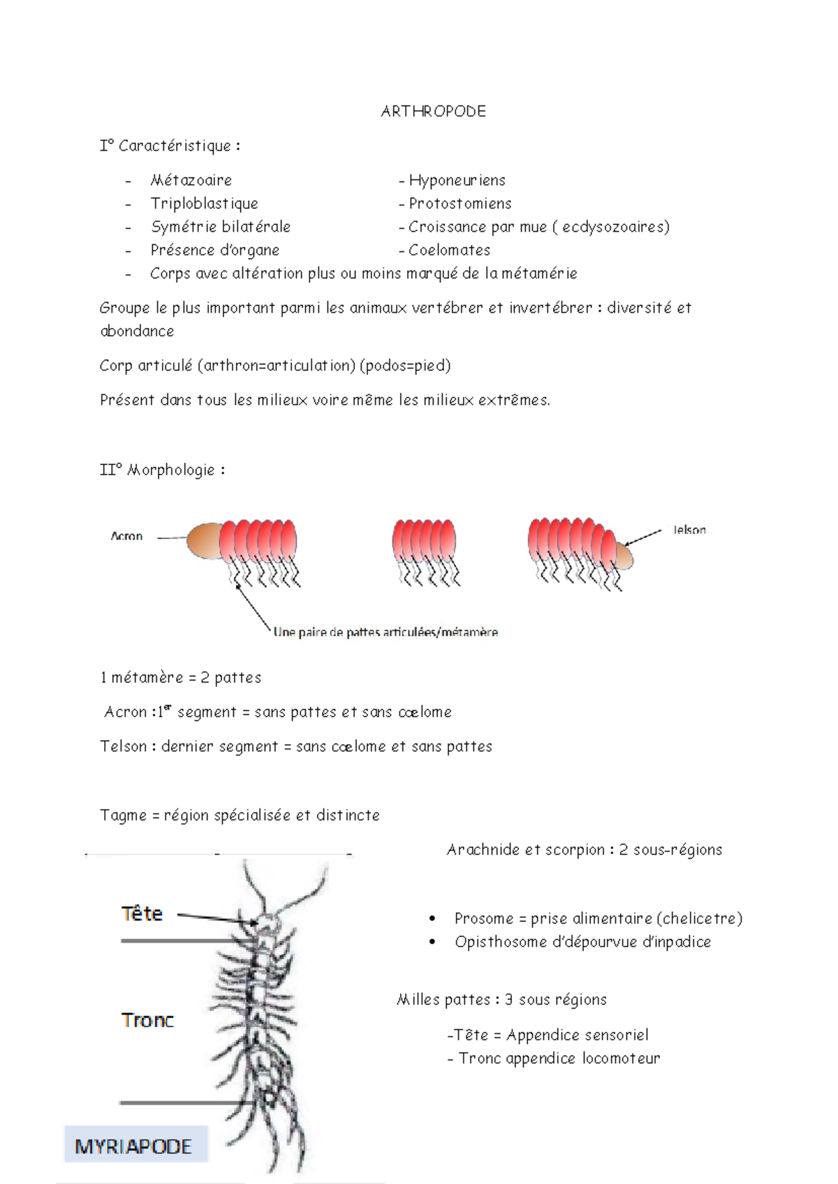 Arthropode - Caractéristiques et Morphologie des Métazoaires - Studocu