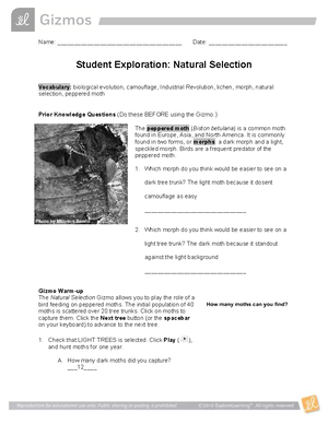 The leap: An analysis of Louise Erdrich's short story - Studocu