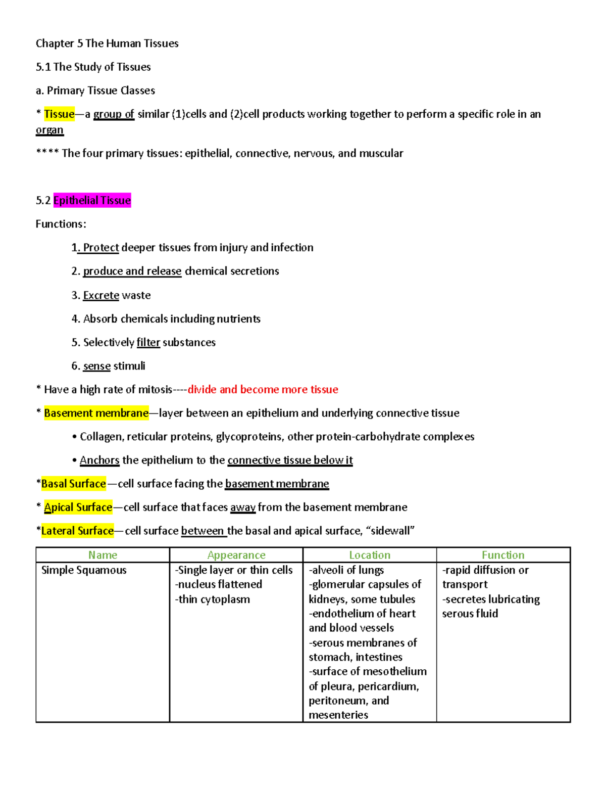 Bio 210 Chapter 5: The Human Tissues Overview and Functions - Studocu
