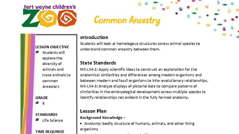 8-LS-Common Ancestry Lesson: Exploring Animal Diversity and Evolution ...