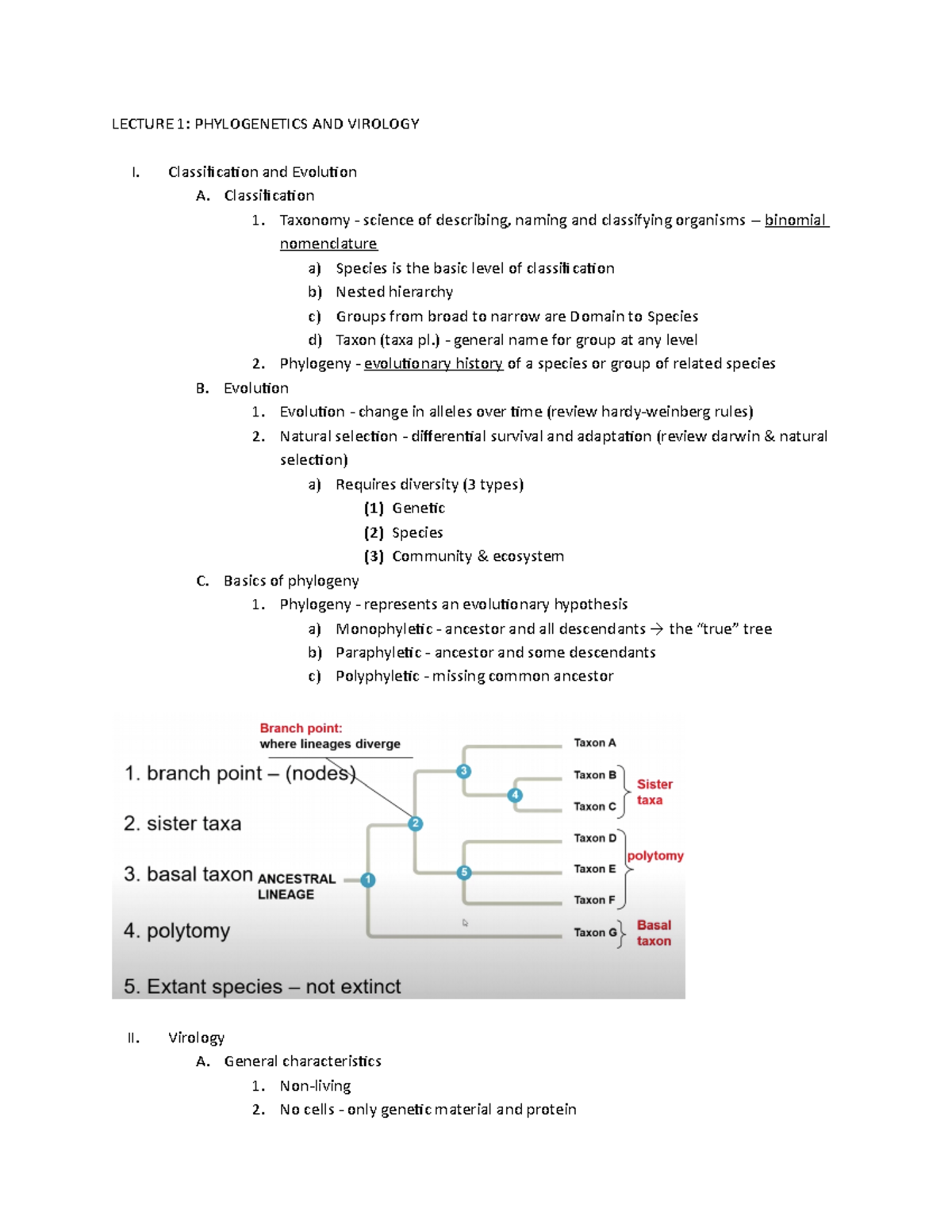 Gen Bio II: Comprehensive Lecture Notes on Phylogenetics, Virology ...