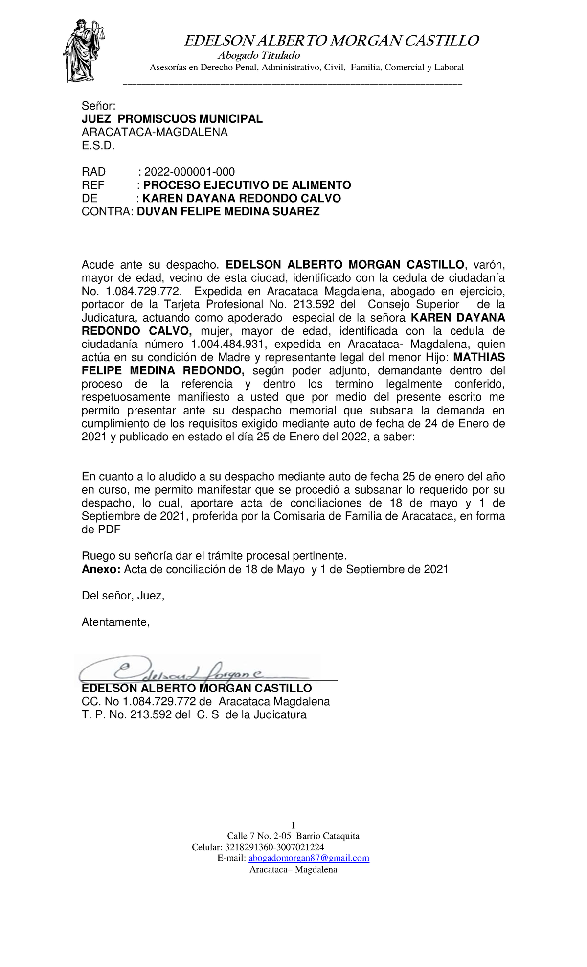 Subsanacion de Dem. Ejecutiva Alimento Karen Redondo - EDELSON ALBERTO ...