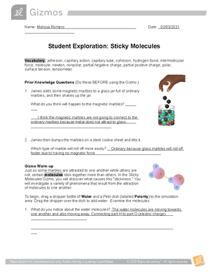 Photosynthesis review packet complete w answers - answer key ...