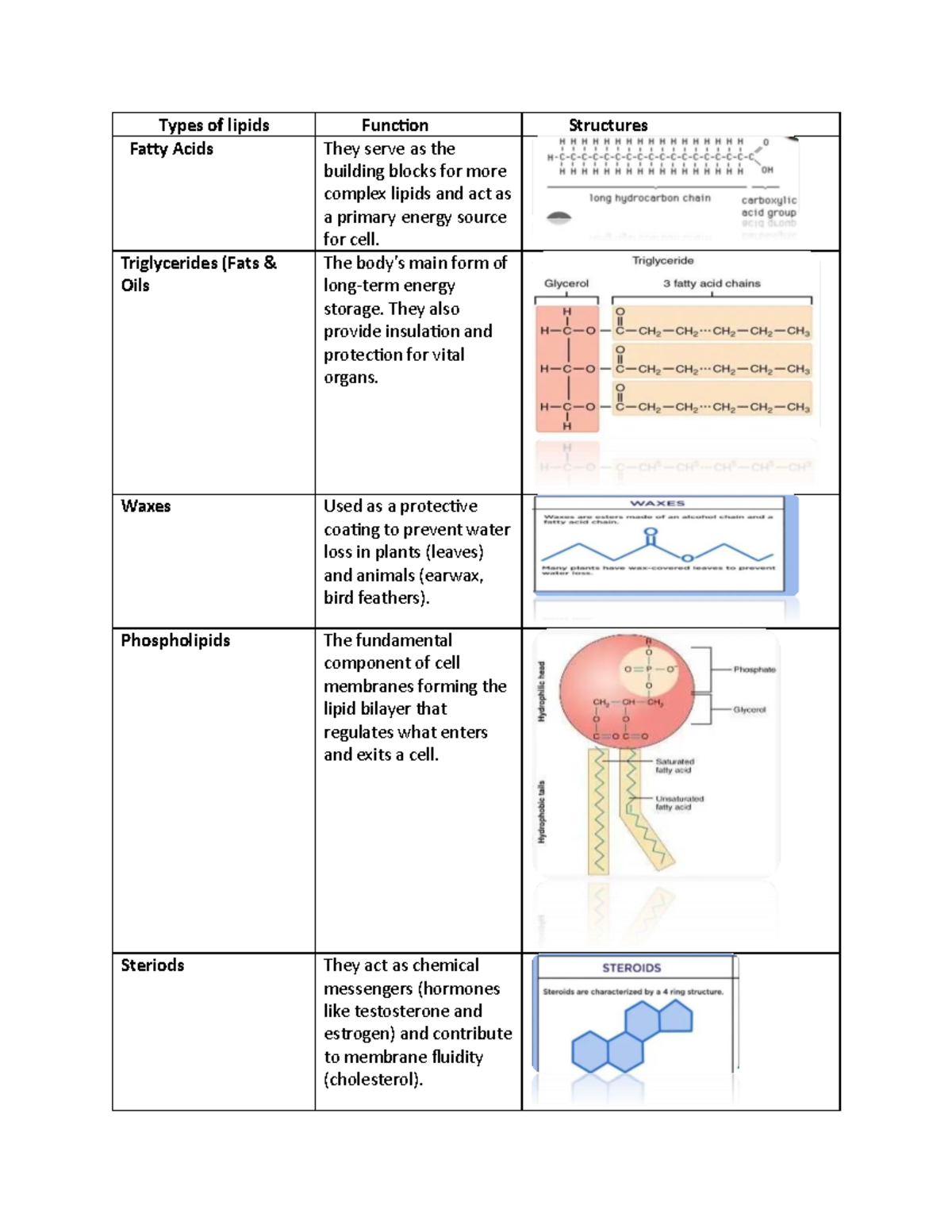 Types OF Lipid - None - Types of lipids Function Structures Fatty Acids ...