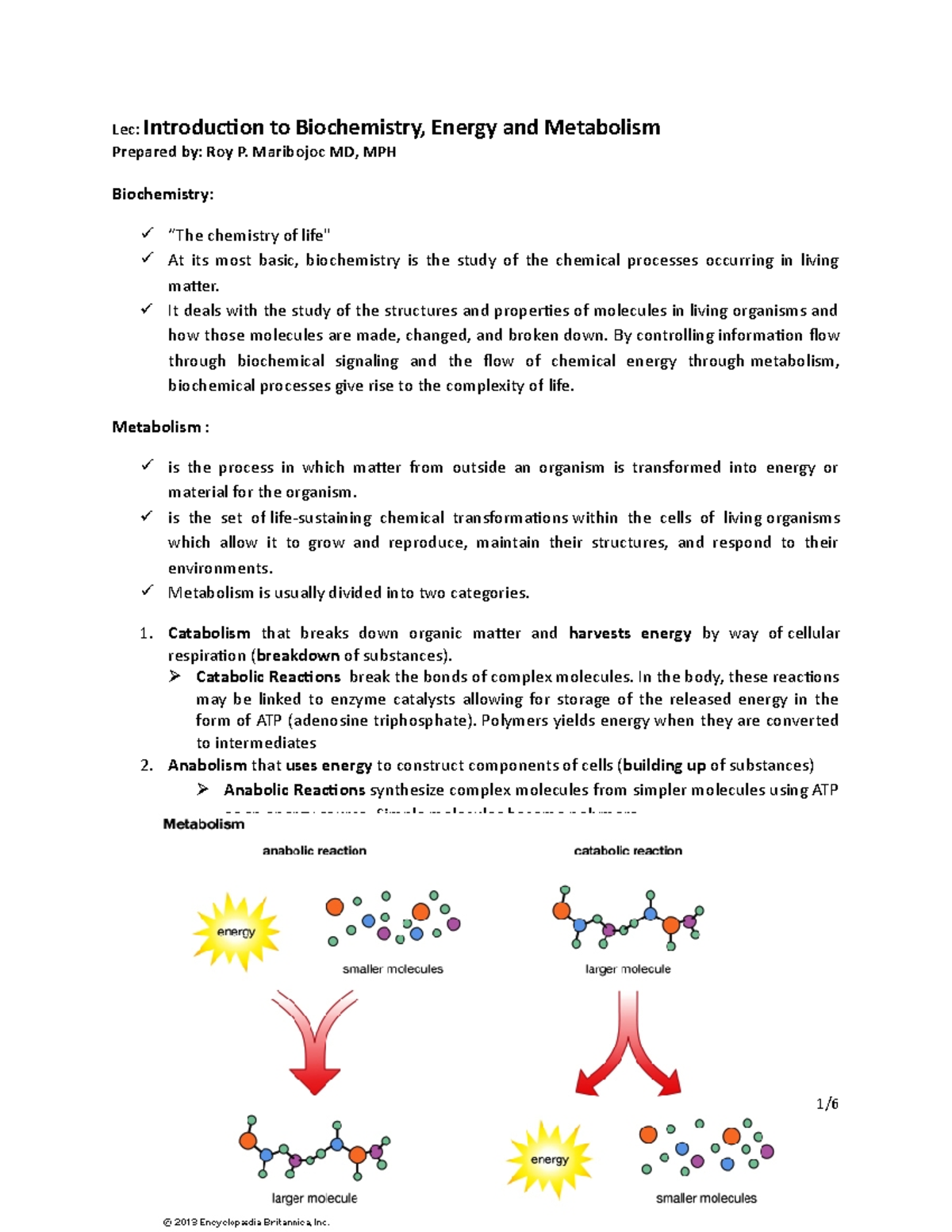 Lec: Introduction to Biochemistry & Energy Metabolism - Biochem 101 ...